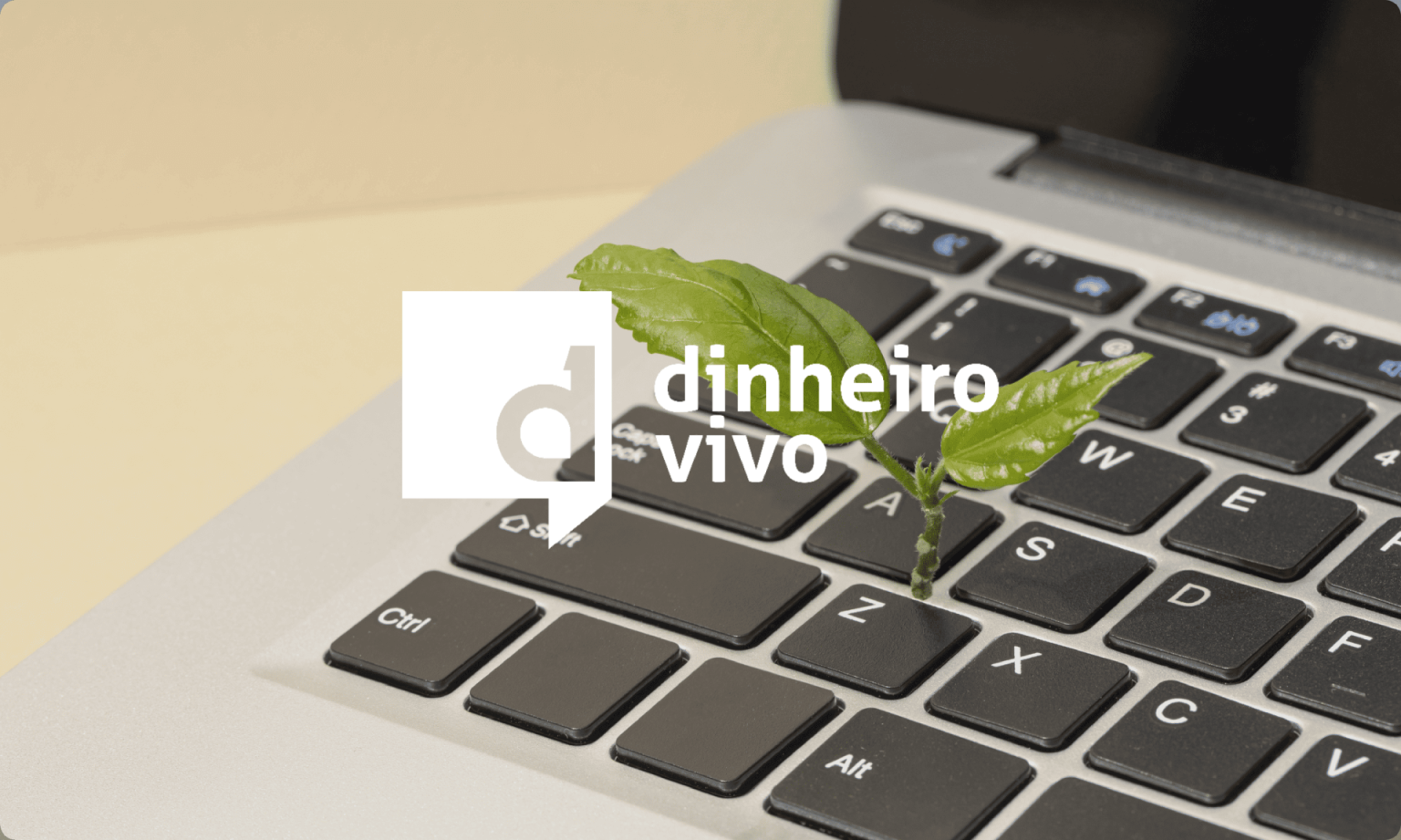 Dinheiro Vivo - Sustentabilidade e Compromisso Social | Toogas